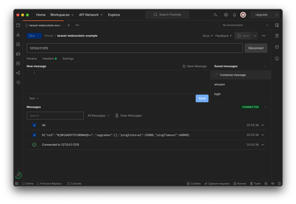 Setting up a WebSocket server for your Laravel app